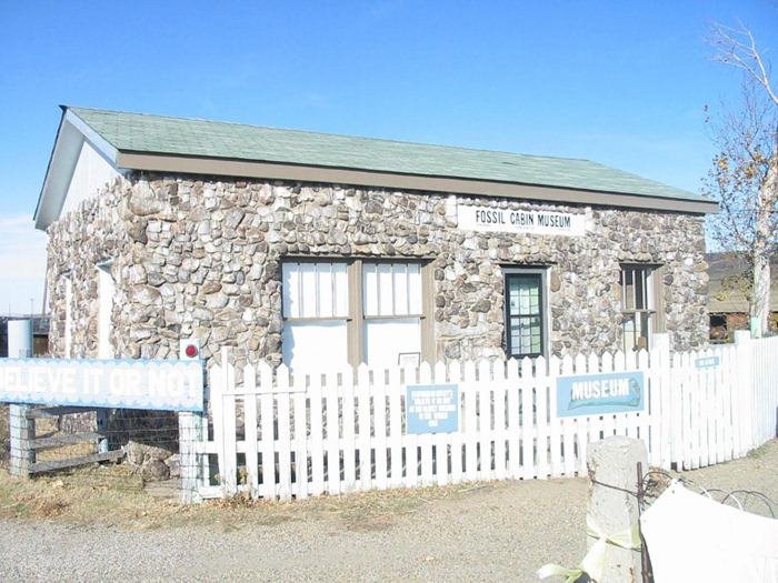 Cabin Built From Fossilized Dinosaur Bones | Amusing Planet